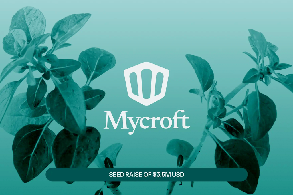 Mycroft announces US $3.5M seed financing | Private Capital Journal